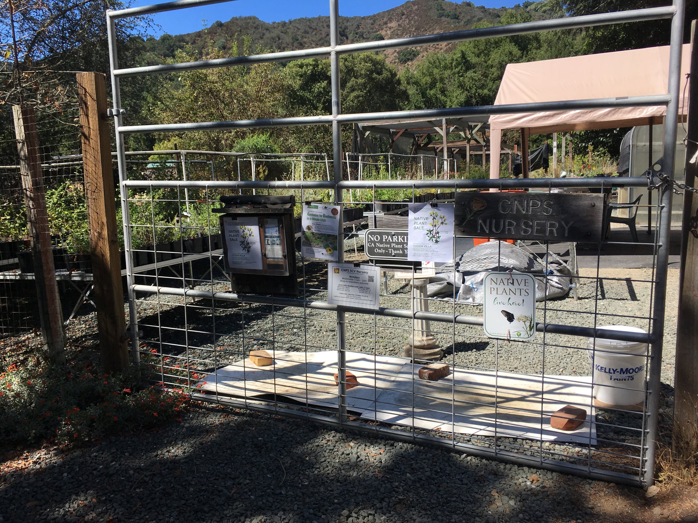 CNPS SCV Nursery Online Store | California Native Plant Society, Santa ...